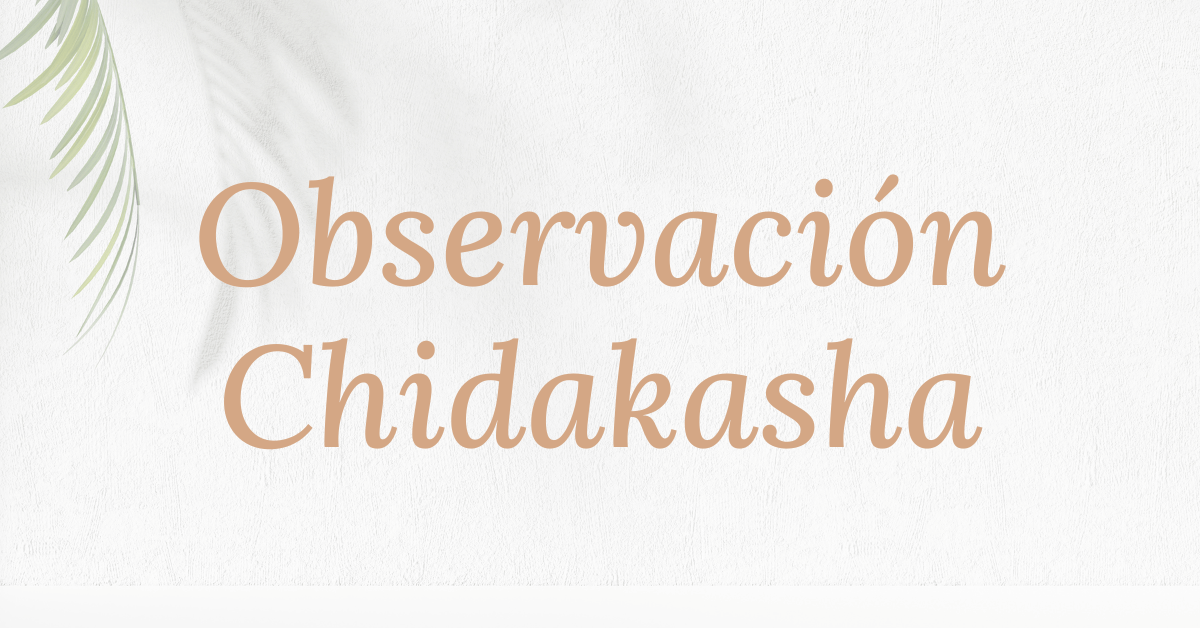 La observación de Chidakasha – YOGAGARA